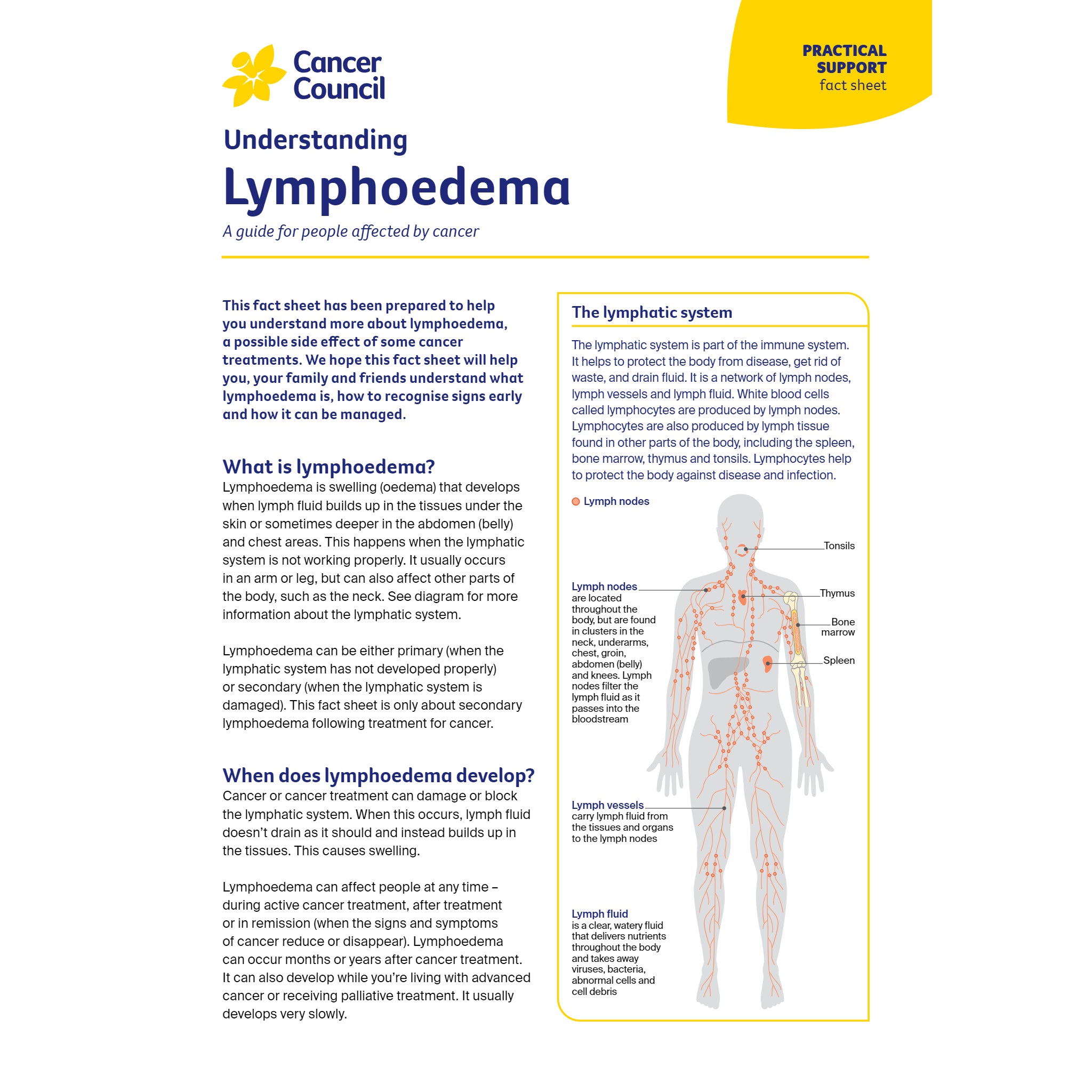Understanding Lymphoedema (PDF Download) – Cancer Council Queensland ...