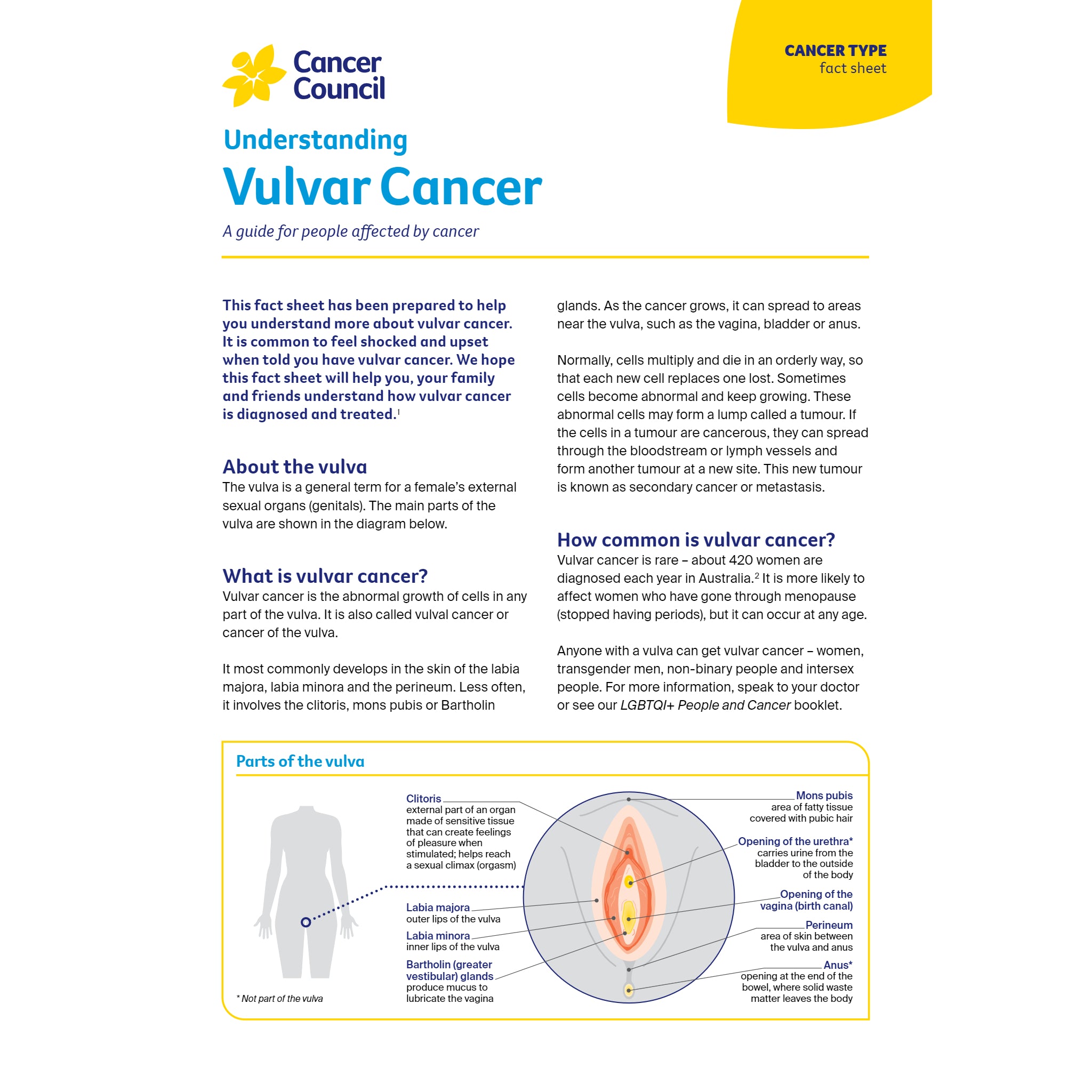 Understanding Vulvar Cancer (PDF Download only) – Cancer Council ...