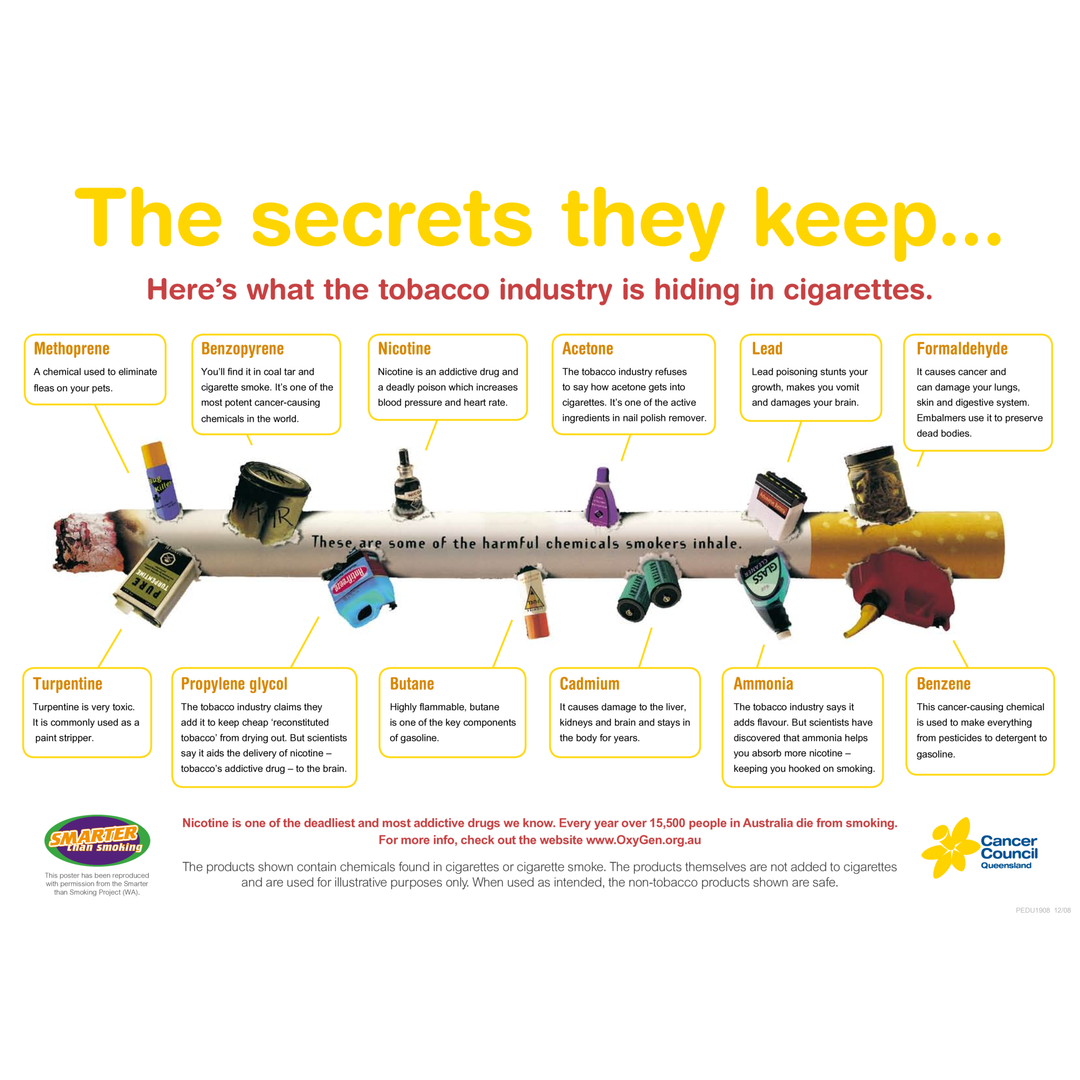 Reducing Cancer Risk – Page 2 – Cancer Council Queensland Resources
