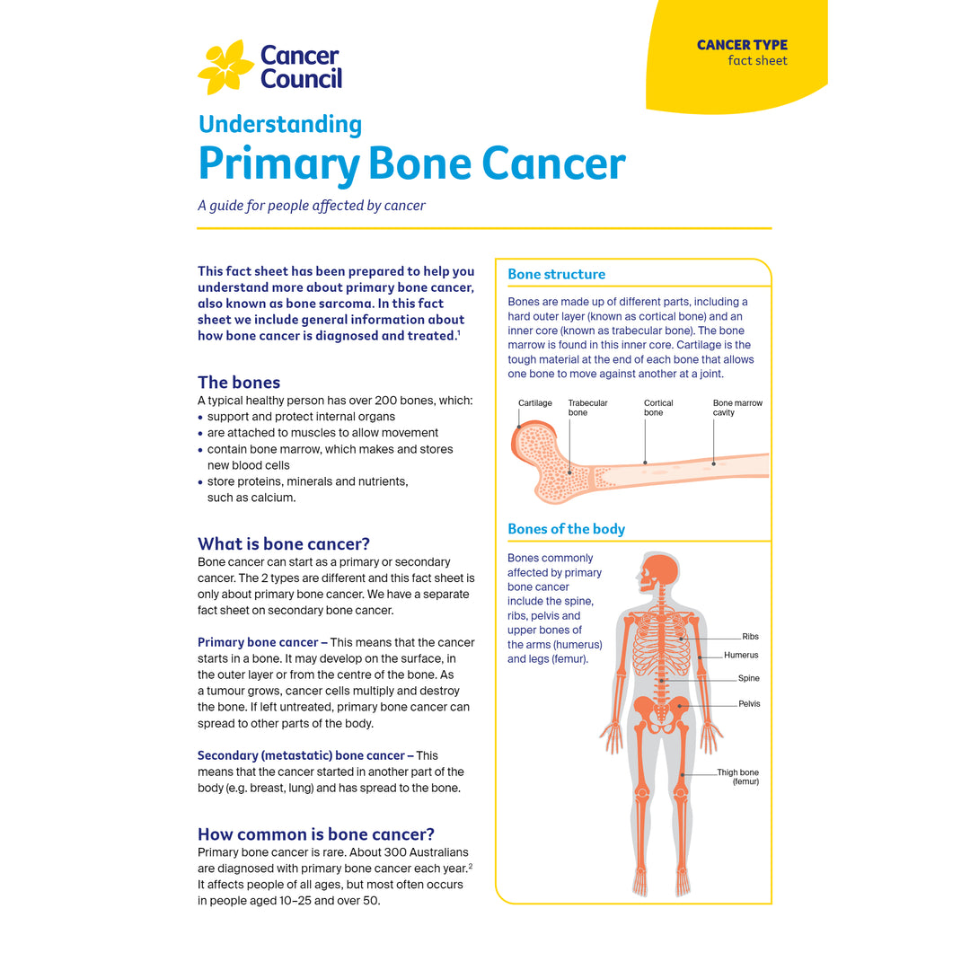 Understanding Primary Bone Cancer (PDF Download) – Cancer Council ...