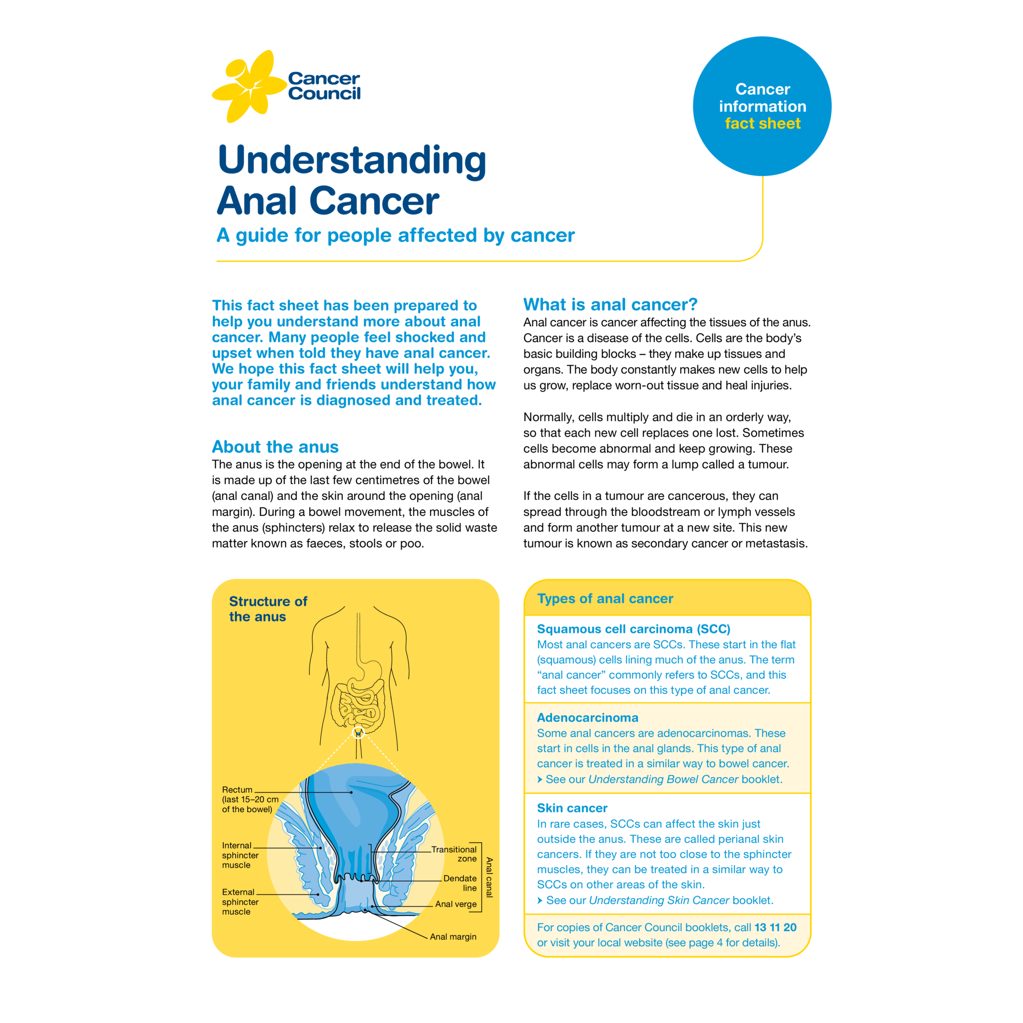 Understanding Anal Cancer (PDF Download) – Cancer Council Queensland ...
