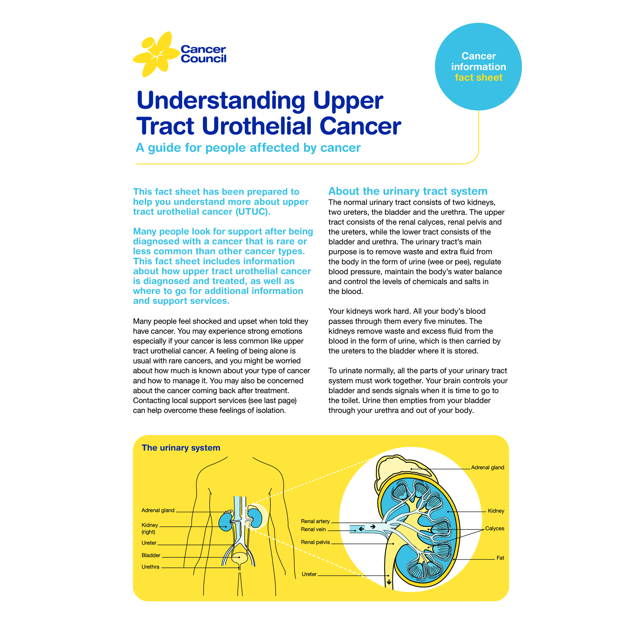 Types of Cancer – Page 3 – Cancer Council Queensland Resources